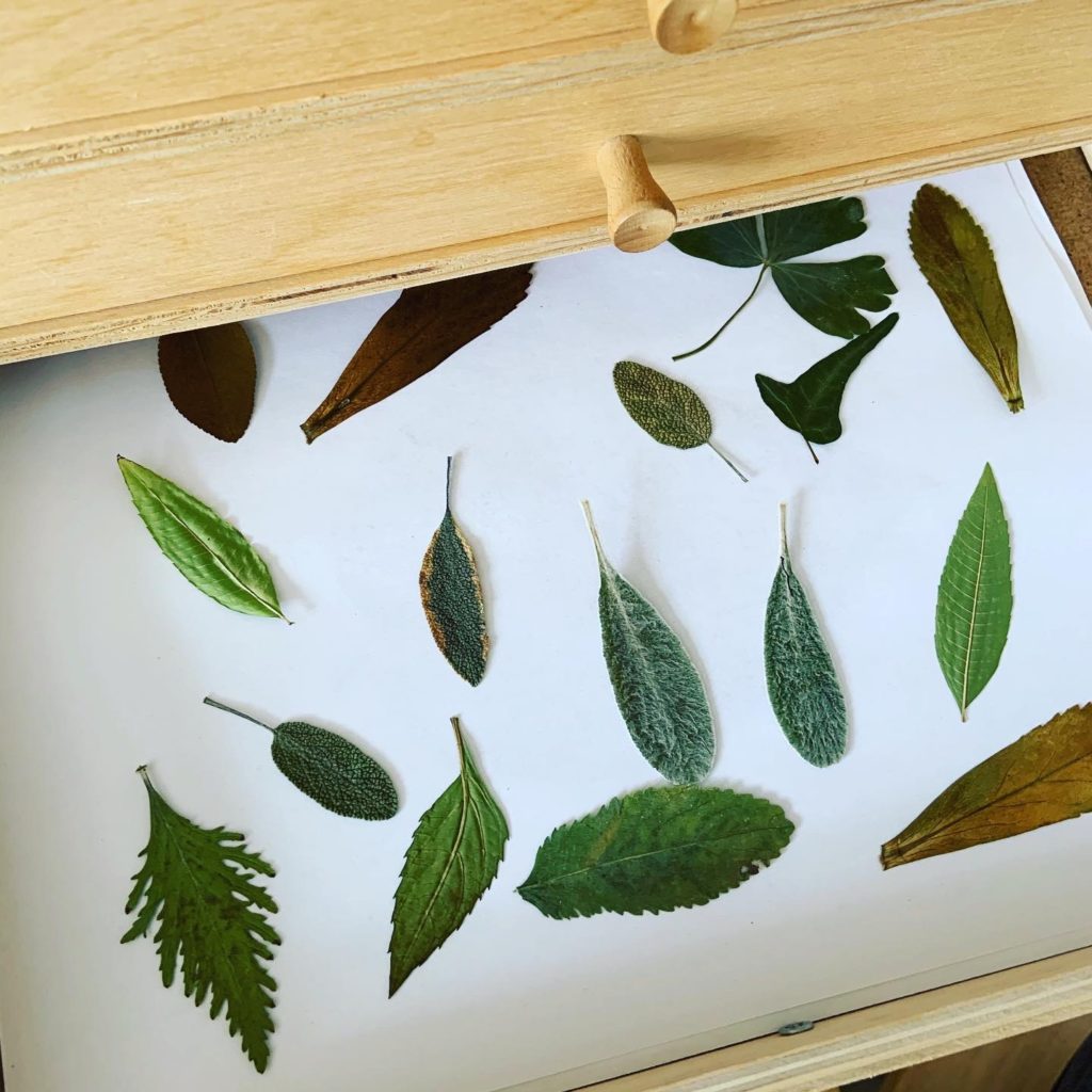 Leaf Pressing – You Grow Girl