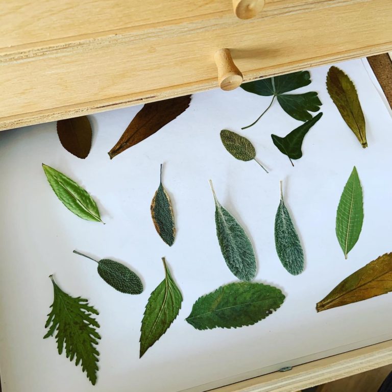 Leaf Pressing – You Grow Girl