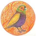 Drawing from Nature: Bird in a Thicket – You Grow Girl