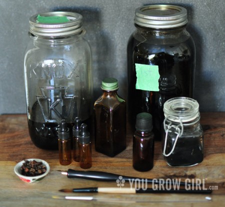 Make Your Own Black Walnut Ink – You Grow Girl