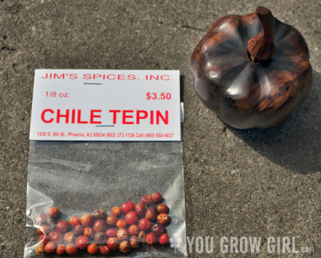Food Worth Growing: Chiltepin Pepper – You Grow Girl