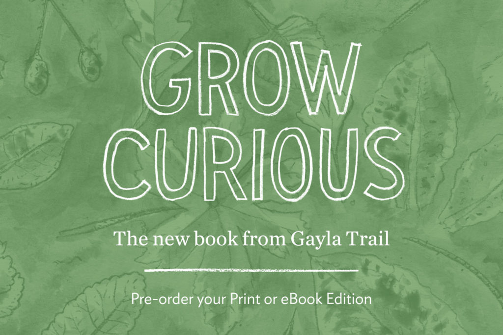 Grow Curious Book Pre-Ordering is Here! – You Grow Girl