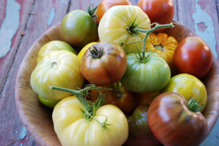 What’cha Growin? Podcast Episode #4 Kelly Gilliam – You Grow Girl