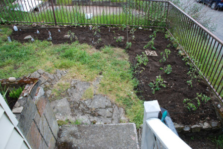 What’cha Growin? Podcast Episode #4 Kelly Gilliam – You Grow Girl