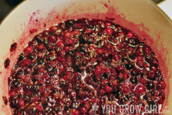 Serviceberry Jam – You Grow Girl