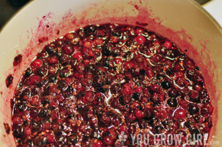 Serviceberry Jam – You Grow Girl