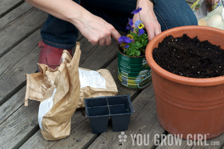 Guide to Choosing Organic Potting Soil Mixes – You Grow Girl