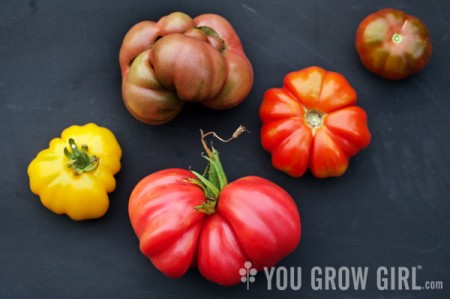 Five Gorgeous Ruffled Tomatoes Worth Growing – You Grow Girl