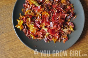 Tomato Skin Powder – You Grow Girl