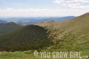 Colorado – You Grow Girl