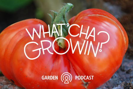 What’cha Growin? Podcast Episode #4 Kelly Gilliam – You Grow Girl